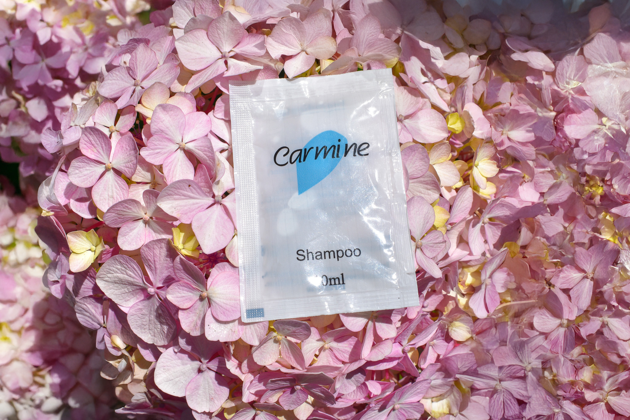 Shampoo Sachet Carmine 500 Unidades - MHM Amenities